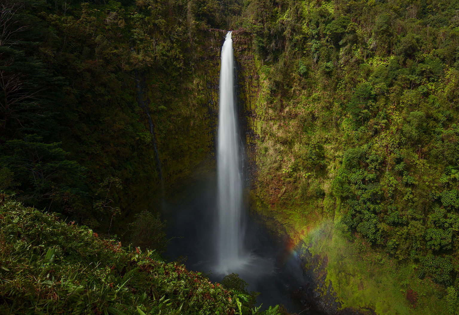 Akaka Falls • Islands • Julian Bunker Photography